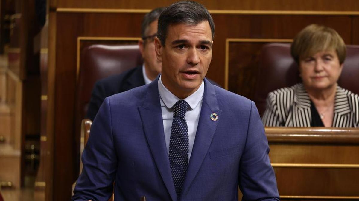 Comparecencia De Pedro Sánchez En El Congreso