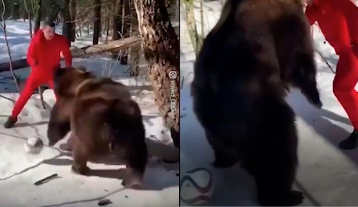 Un hombre le hace un caño a un oso