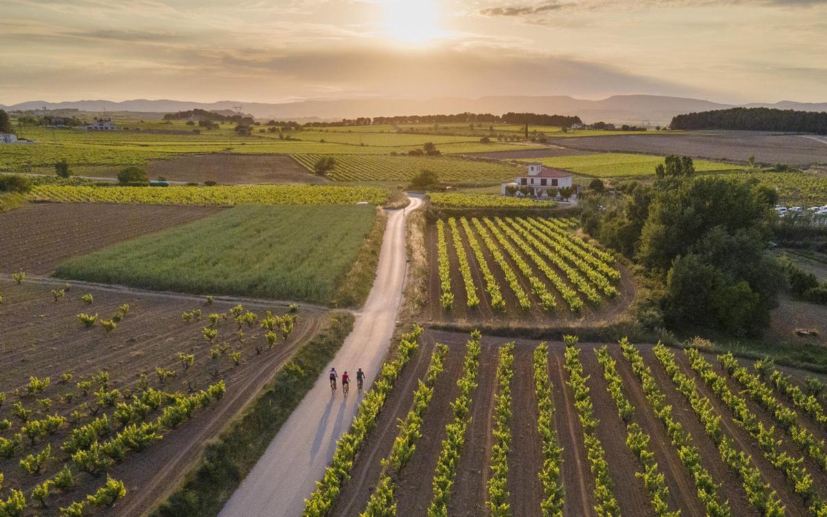 Una ruta para recorrer y conocer el Penedès en bicicleta